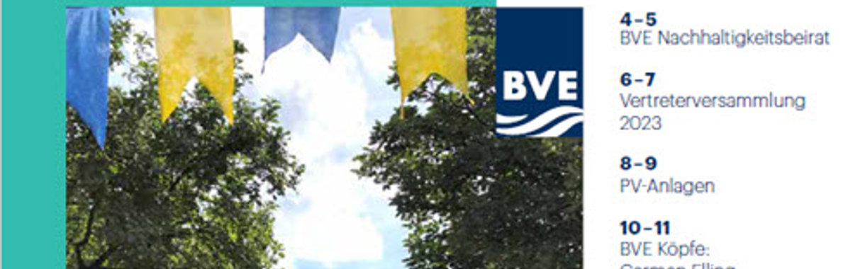 BVE Website